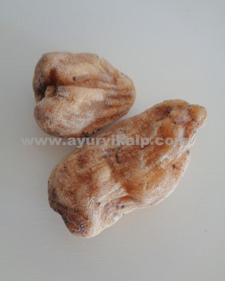 Herbal Energy | Salab Misri | Herbs For Energy | United States